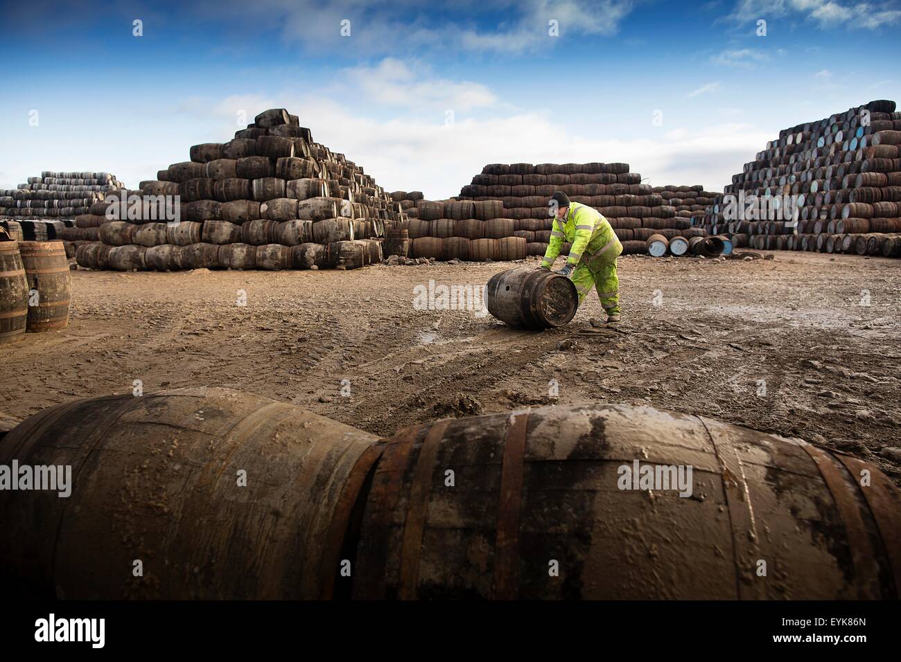 Young man rolling whisky cask at cooperage Stock Photo - Alamy