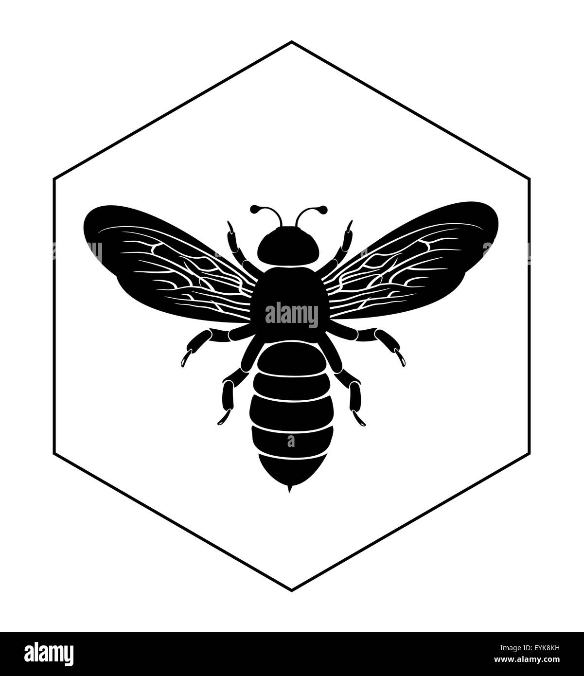 Bee and color Black and White Stock Photos & Images - Alamy