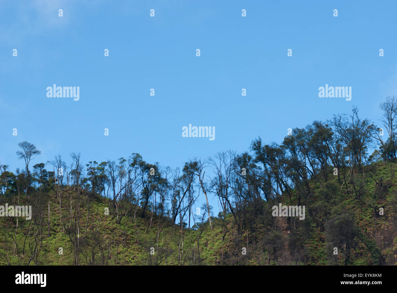 Mount patuha volcano hi-res stock photography and images - Alamy