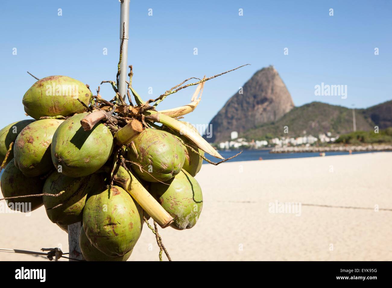 Bráz rio hi-res stock photography and images - Alamy