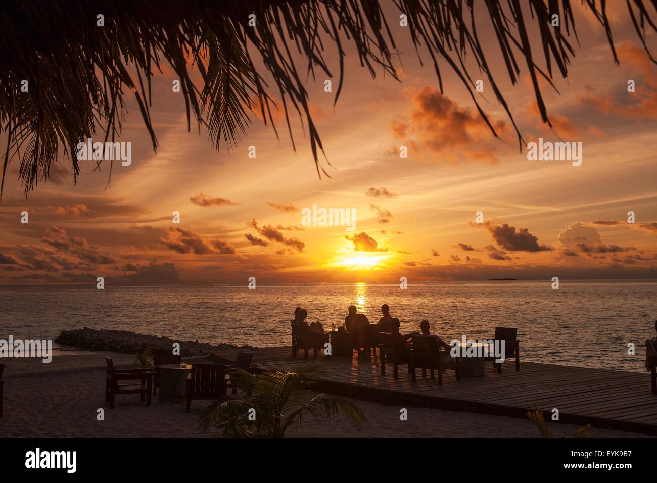 Silhouettes of people under palm trees at sunset, Ari Atoll, Maldives ...