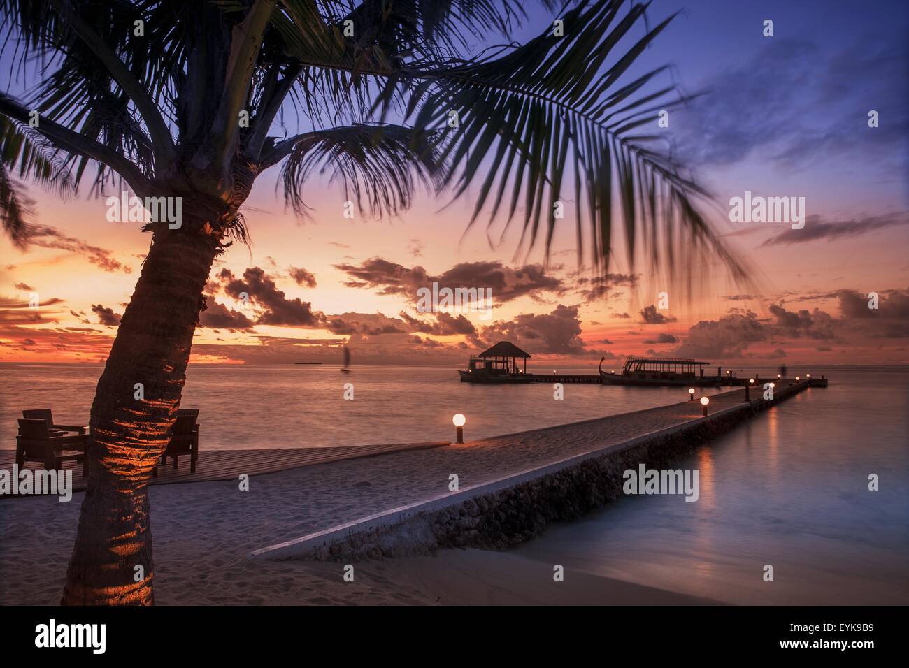 Beach trees at sunset, Ari Atoll, Maldives Stock Photo - Alamy