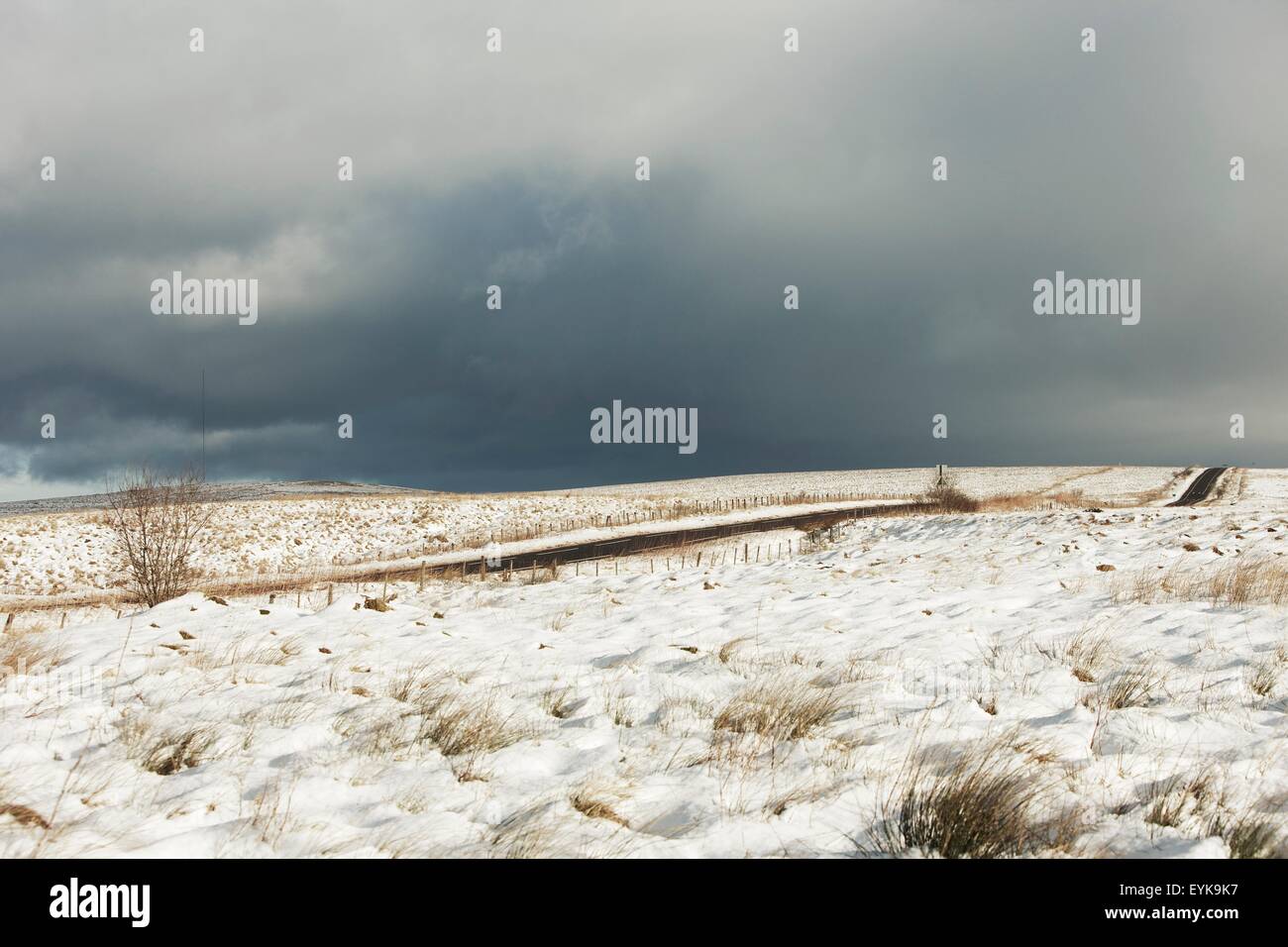 Ayrshire snow hi-res stock photography and images - Alamy