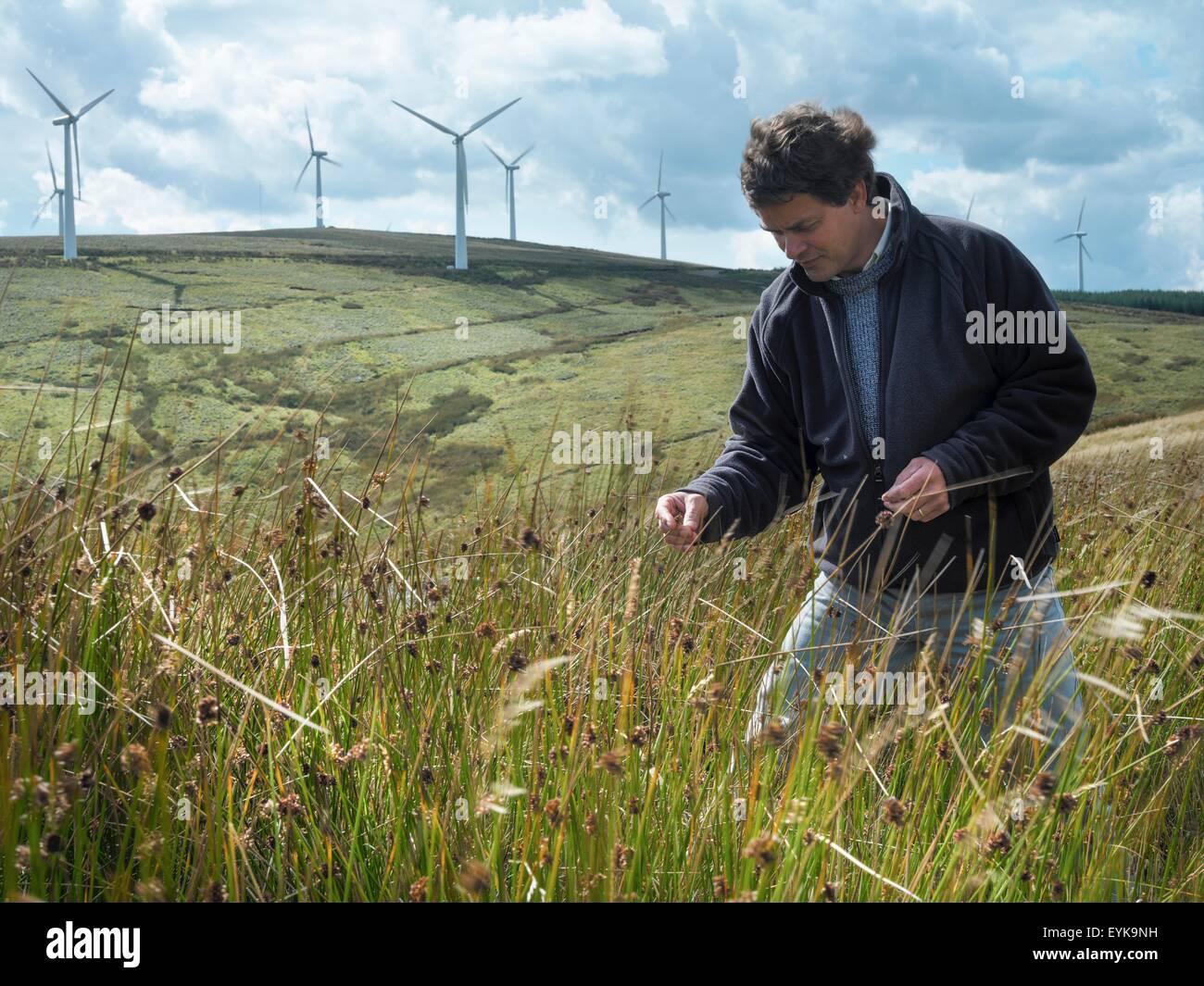 Ature conservation hi-res stock photography and images - Alamy