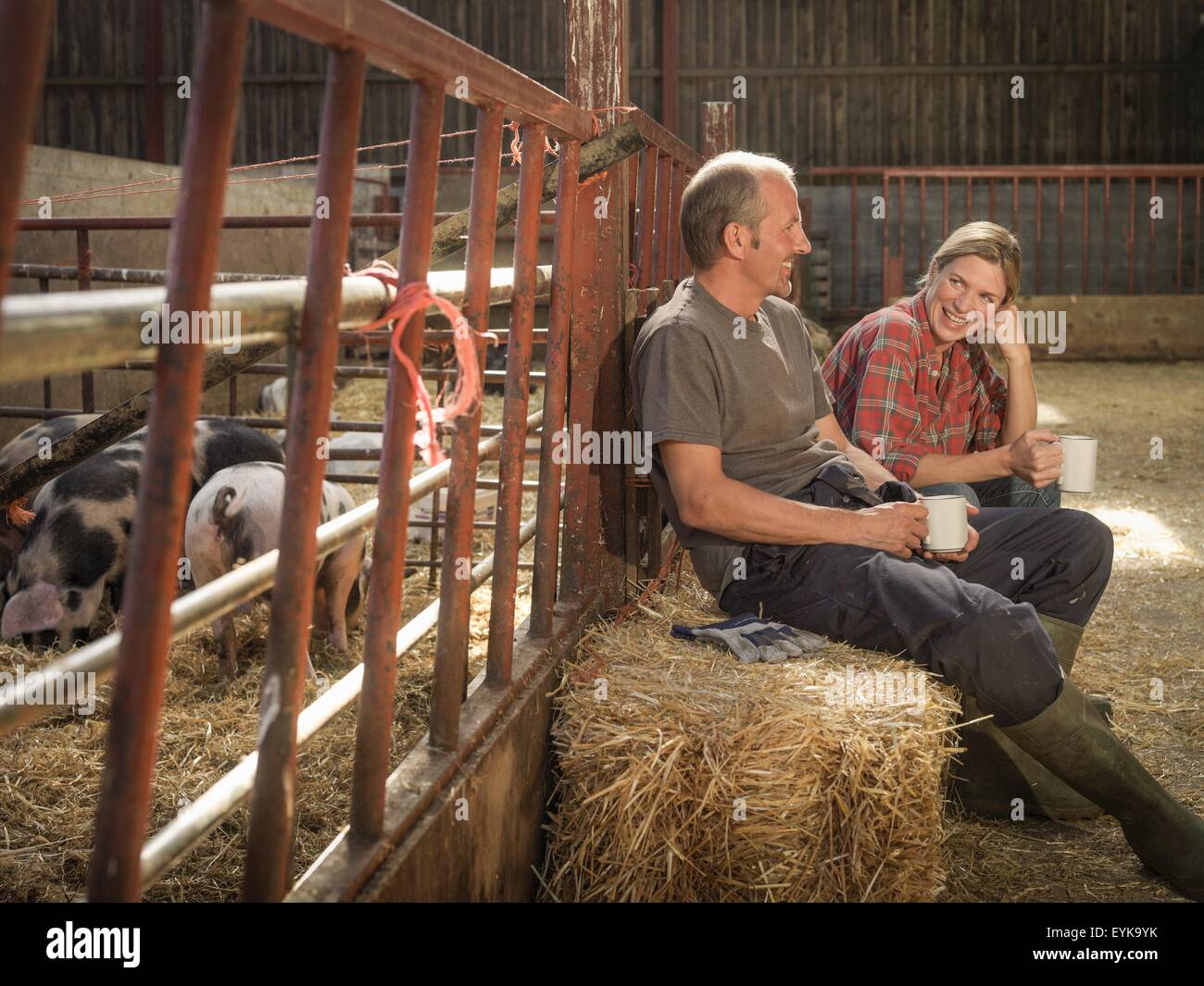 Farming Skill High Resolution Stock Photography and Images - Alamy