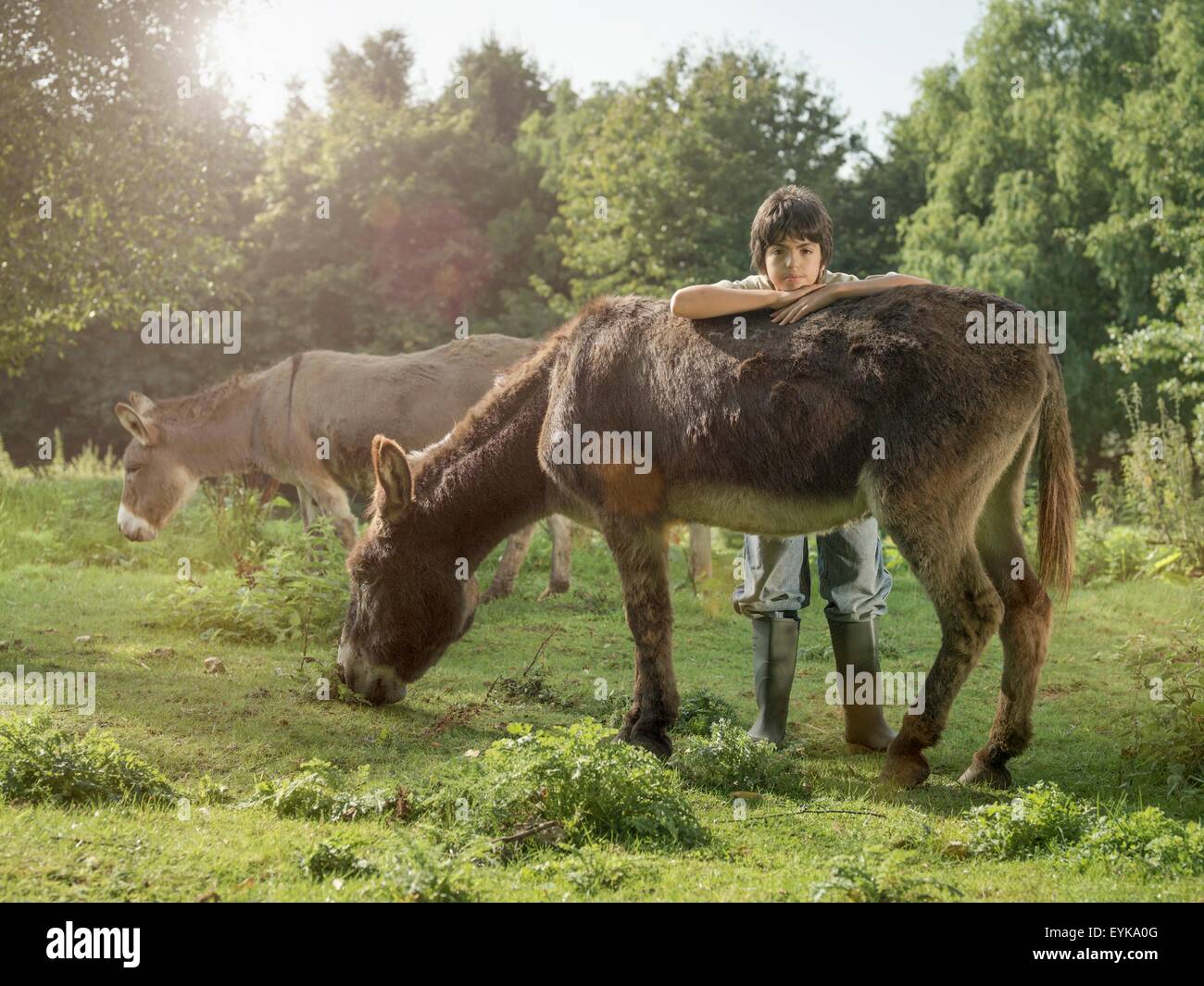 England Boy Rural Farming High Resolution Stock Photography and Images ...