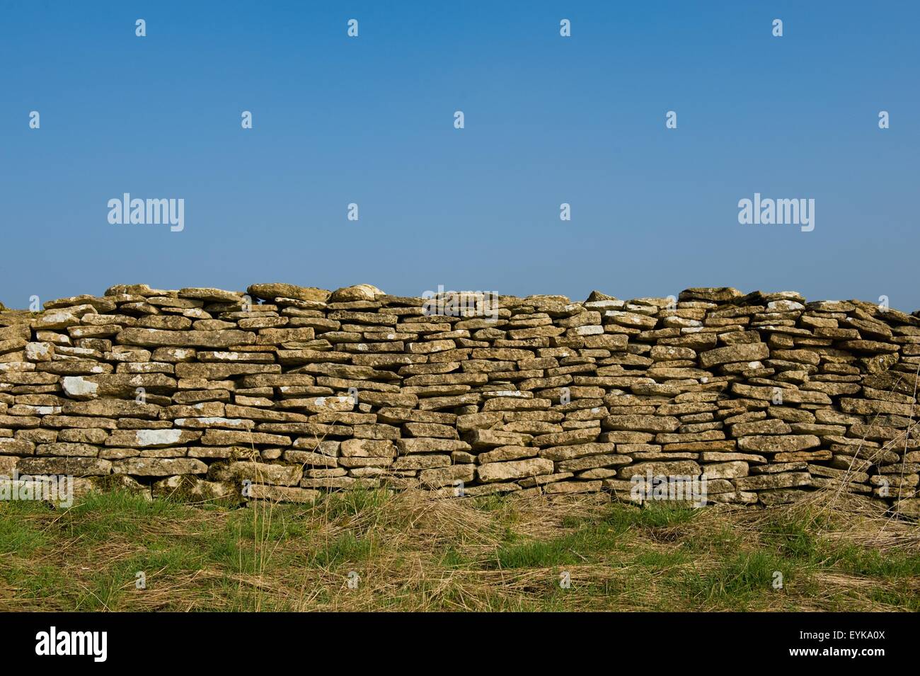 Edge of field and traditional Cotswold dry limestone wall Stock Photo ...