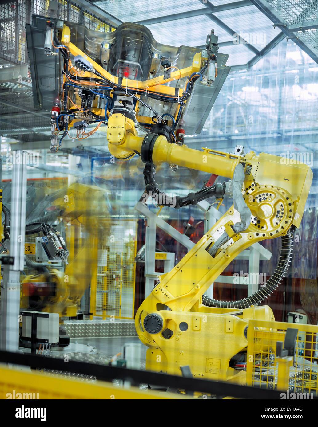 Cheshire on arm hi-res stock photography and images - Alamy