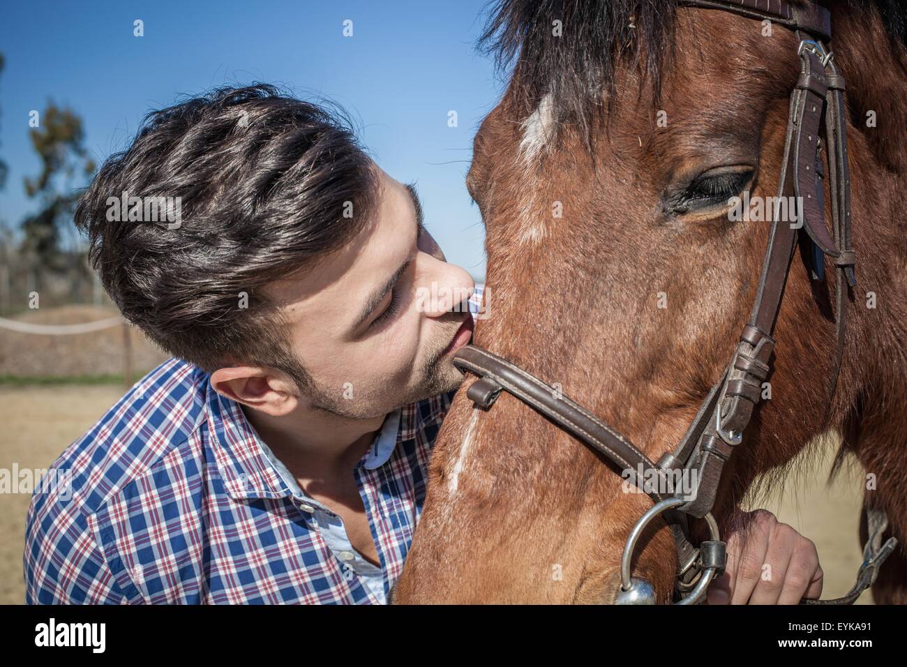 Young man with horse Stock Photo - Alamy