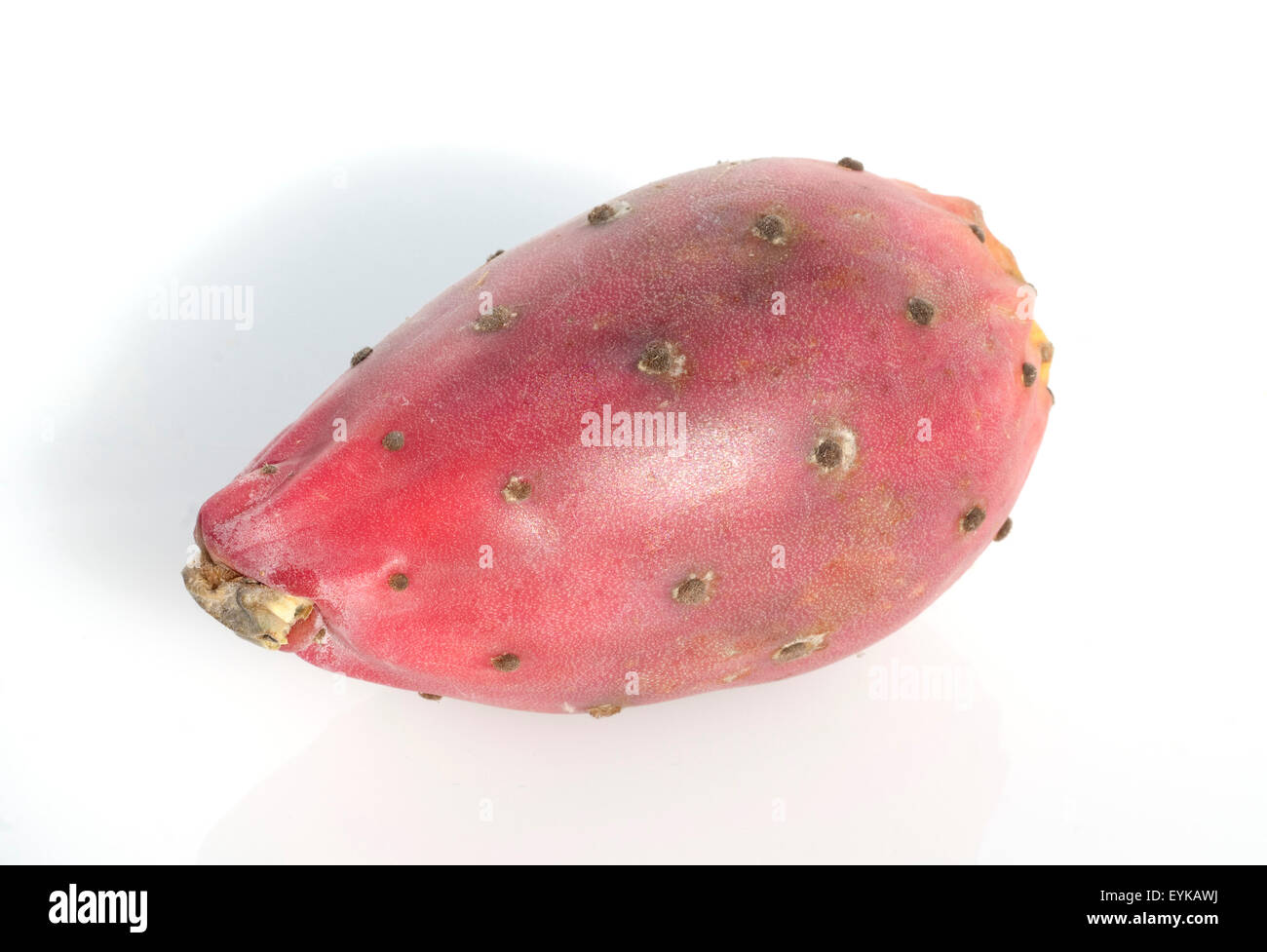 Kaktusfeige, Opuntia ficus indica, Exotische Frucht, exotisch ...