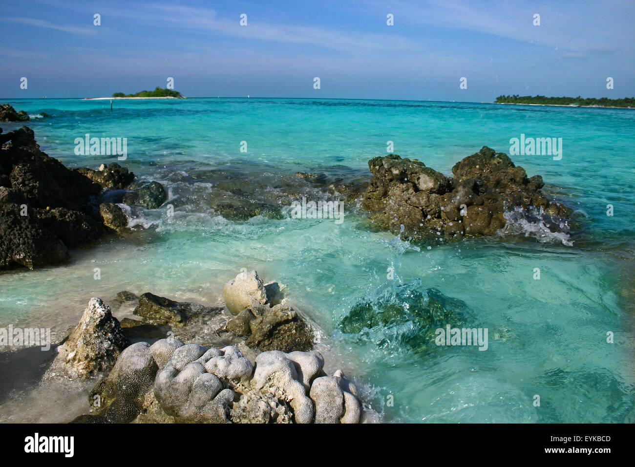 Rocks at the maldives islands Stock Photo - Alamy