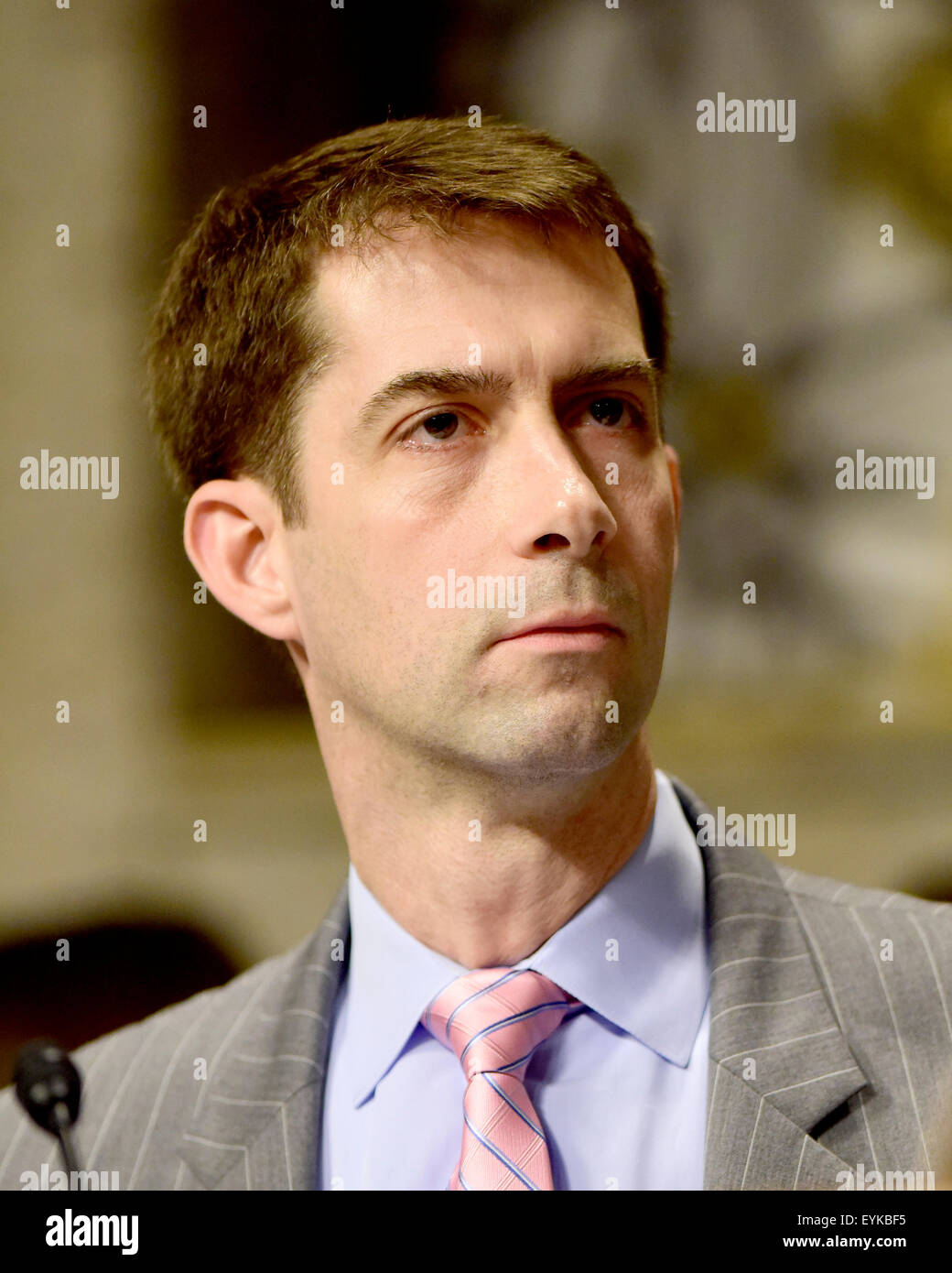 United States Senator Tom Cotton (Republican of Arkansas) questions the ...
