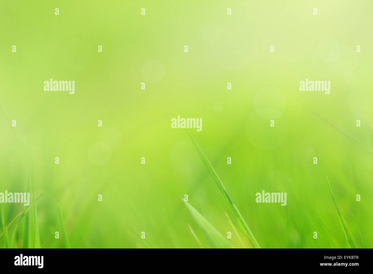 Abstract, soft grass background Stock Photo - Alamy
