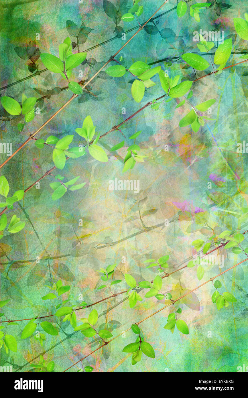 Natural leaves grunge beautiful, artistic springtime background Stock ...