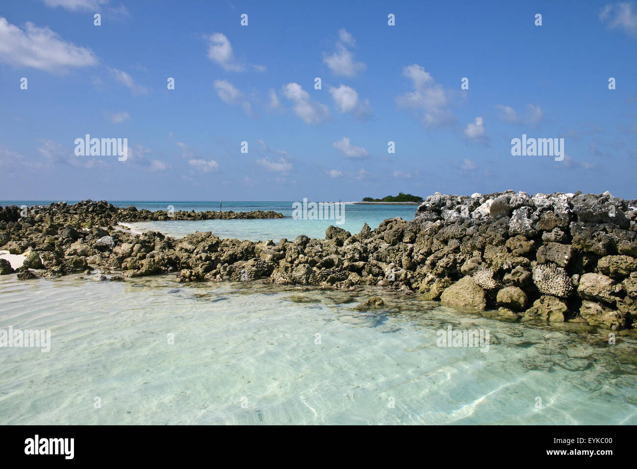 Rocks at the maldives islands Stock Photo - Alamy
