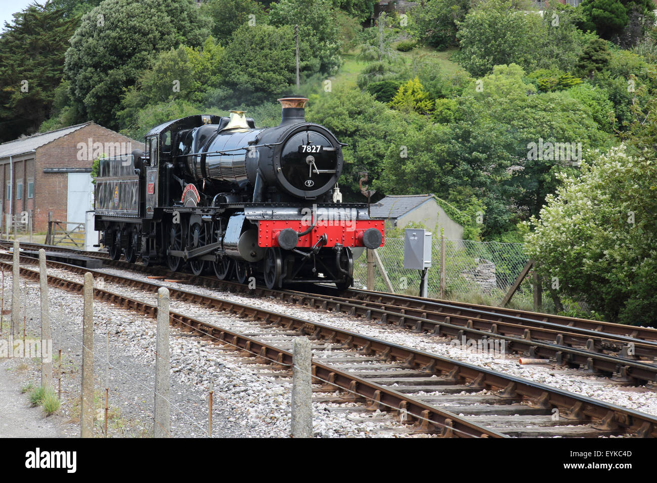 steam train at kingswear on the river dart in south devon Stock Photo ...
