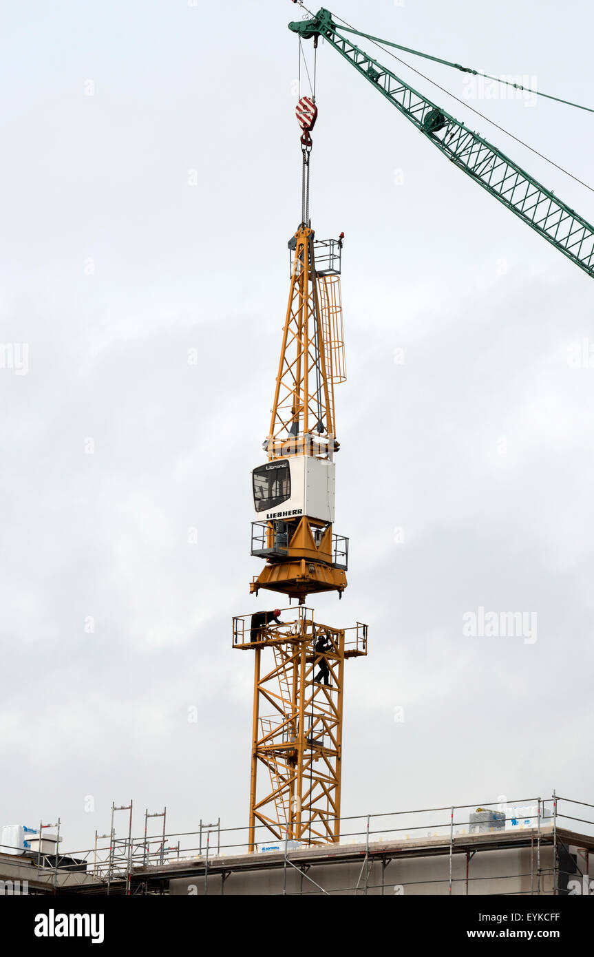 Construction workers dismantling tower crane hi-res stock photography ...