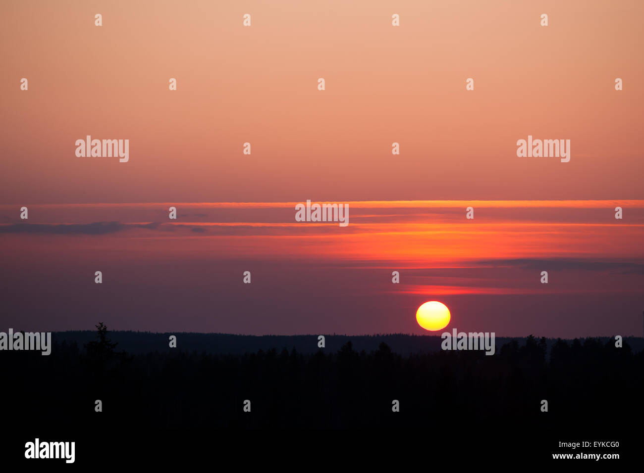 Sun setting over forest hi-res stock photography and images - Alamy