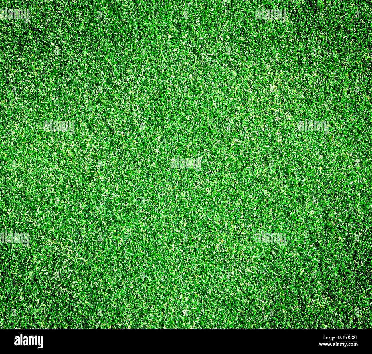 Golf Courses green lawn pattern background texture Stock Photo - Alamy
