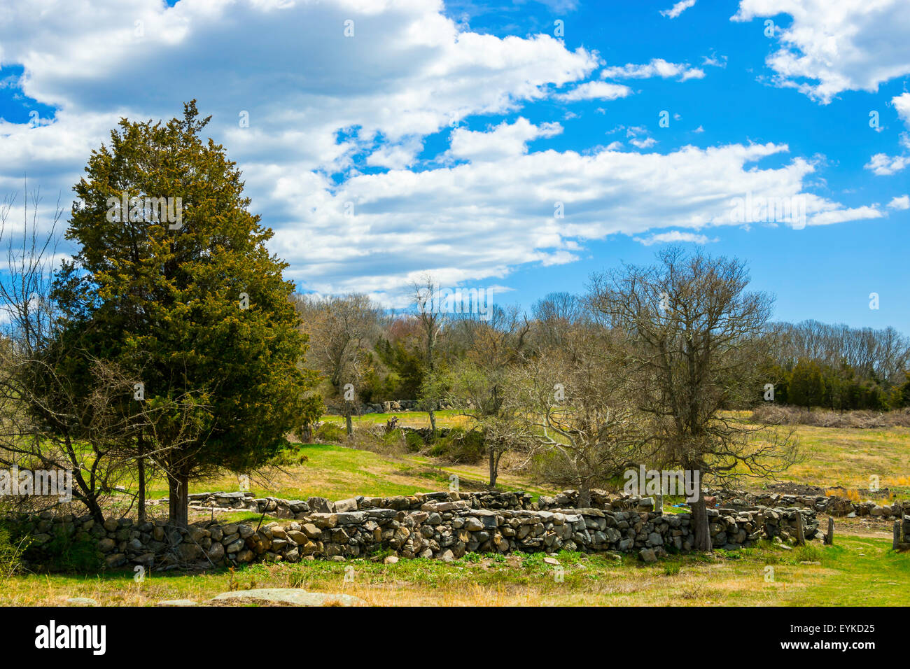 Open fields and old stone walls feature prominently in this landscape ...