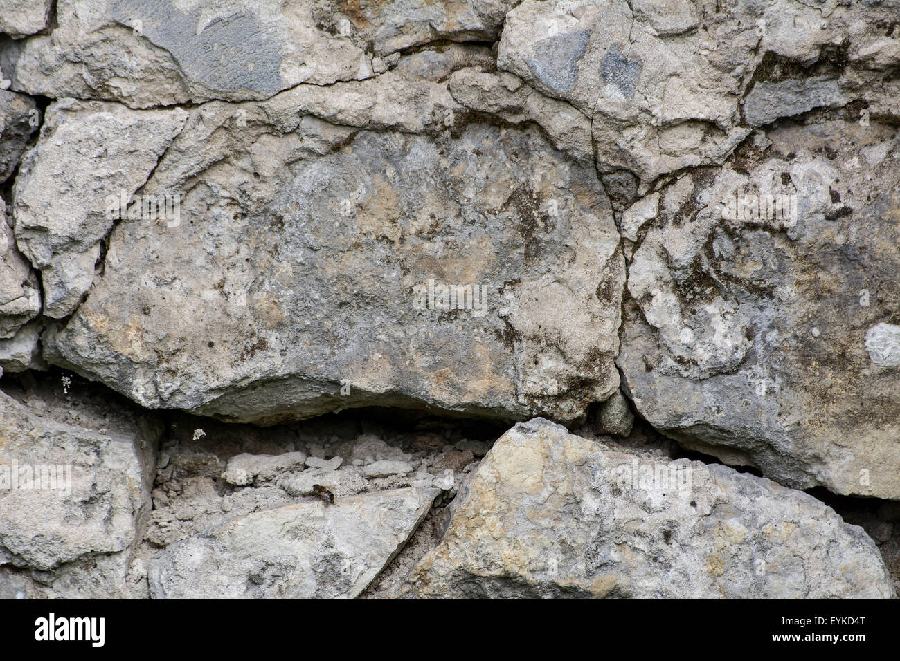 Background textures abstract hi-res stock photography and images - Alamy