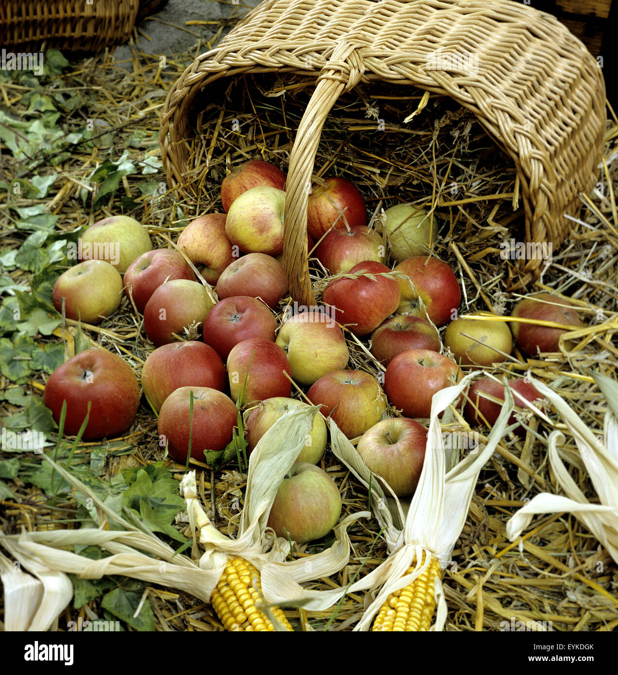 Obst korb hi-res stock photography and images - Alamy