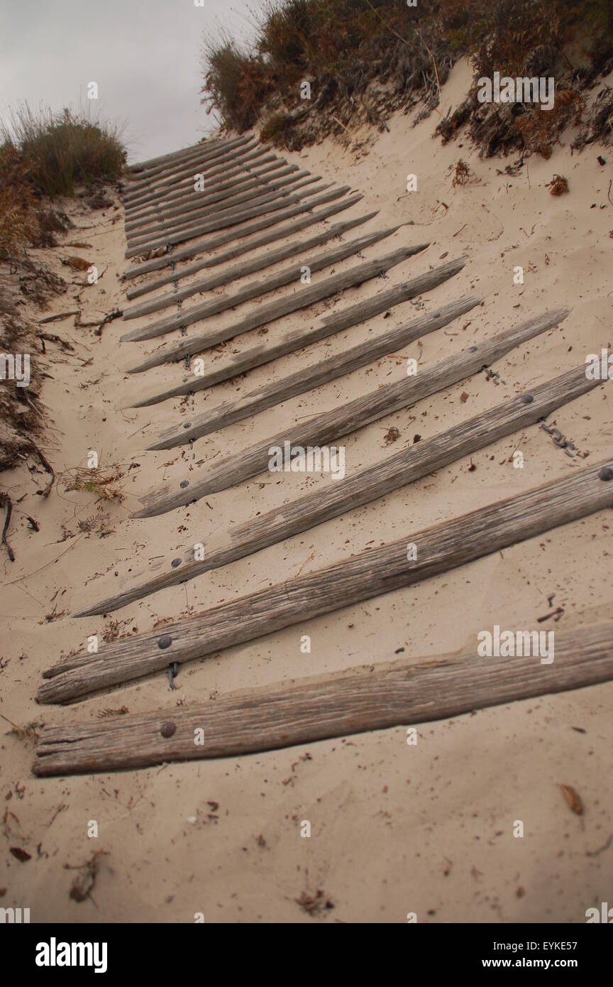 Path made out of wooden planks on a beach, in St. Maria Island ...