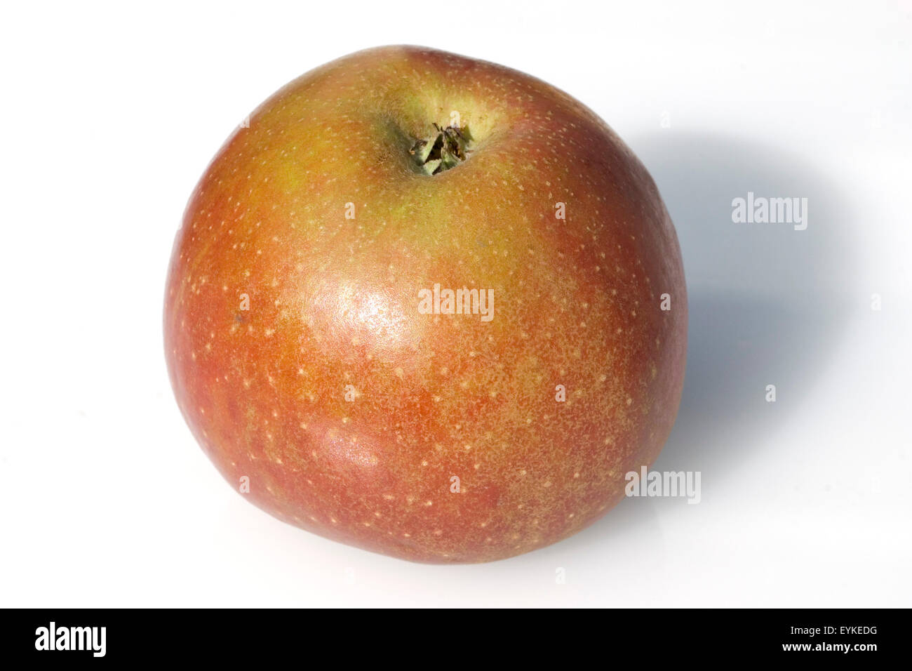 Boskop hi-res stock photography and images - Alamy