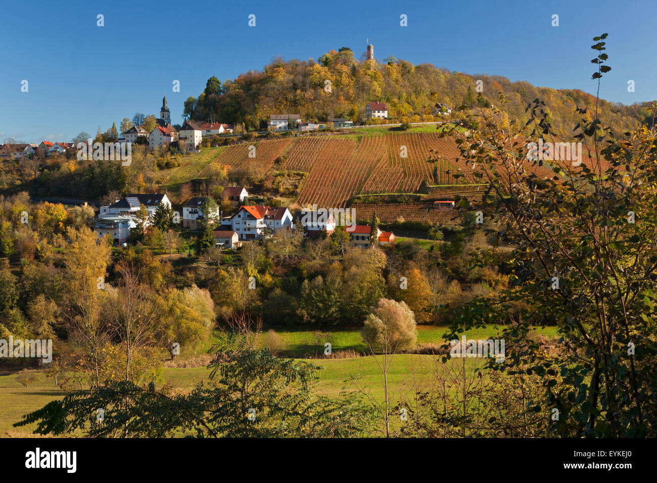 Loewenstein hi-res stock photography and images - Alamy