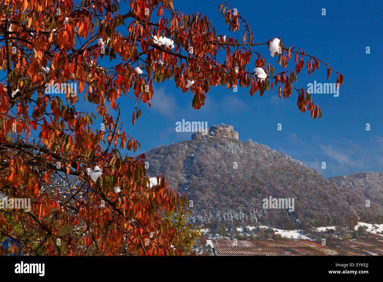 Germany, Baden Wurttemberg, Swabian Alp, castle ruin Hohenneuffen ...
