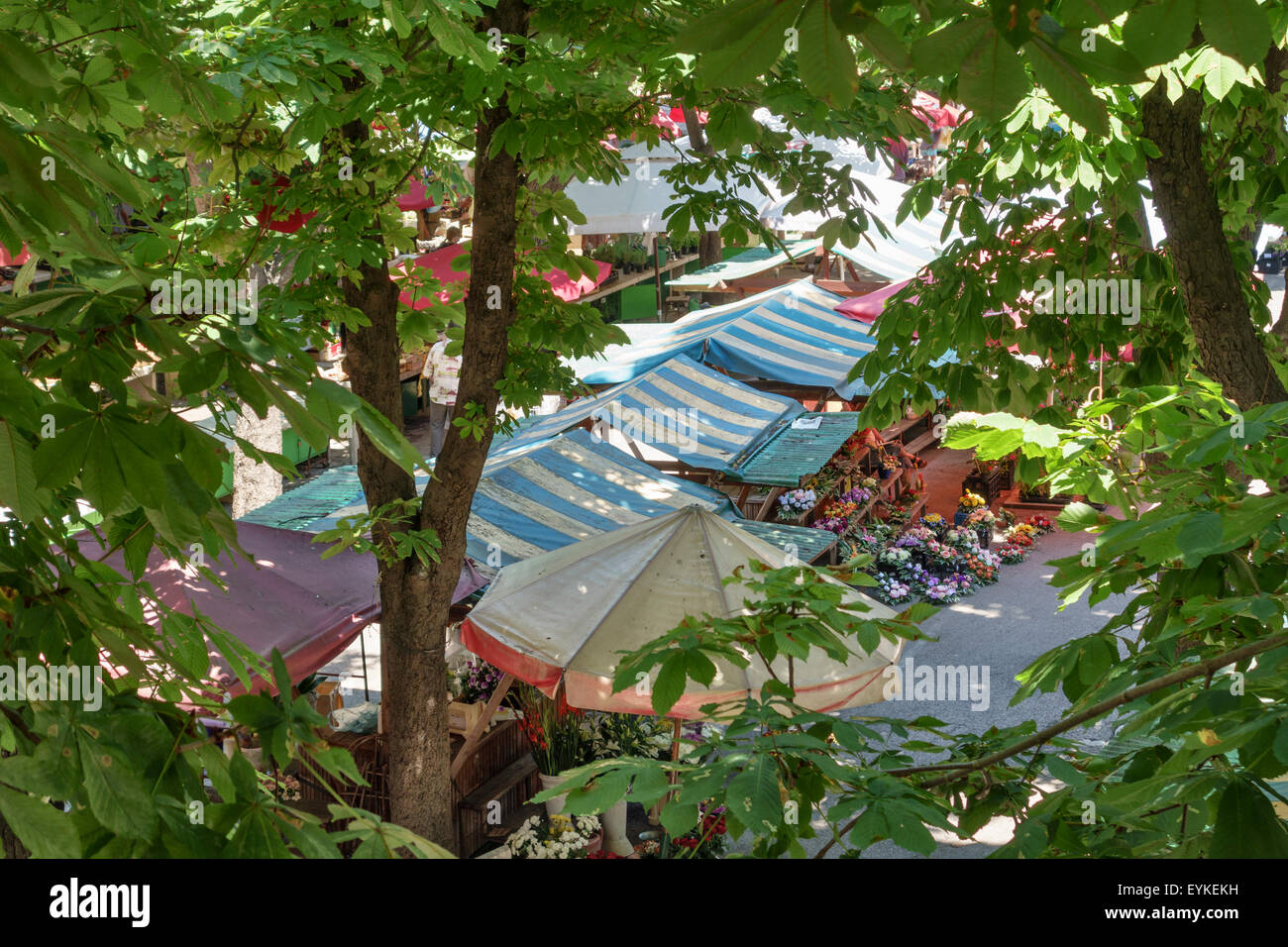 Pula, Croatia. The central open-air market selling fresh locally grown ...