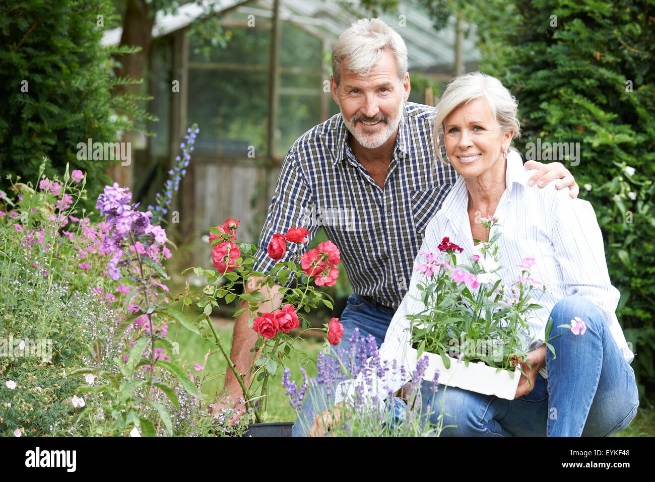 Mature Couple Planting Out Plants In Garden Stock Photo - Alamy