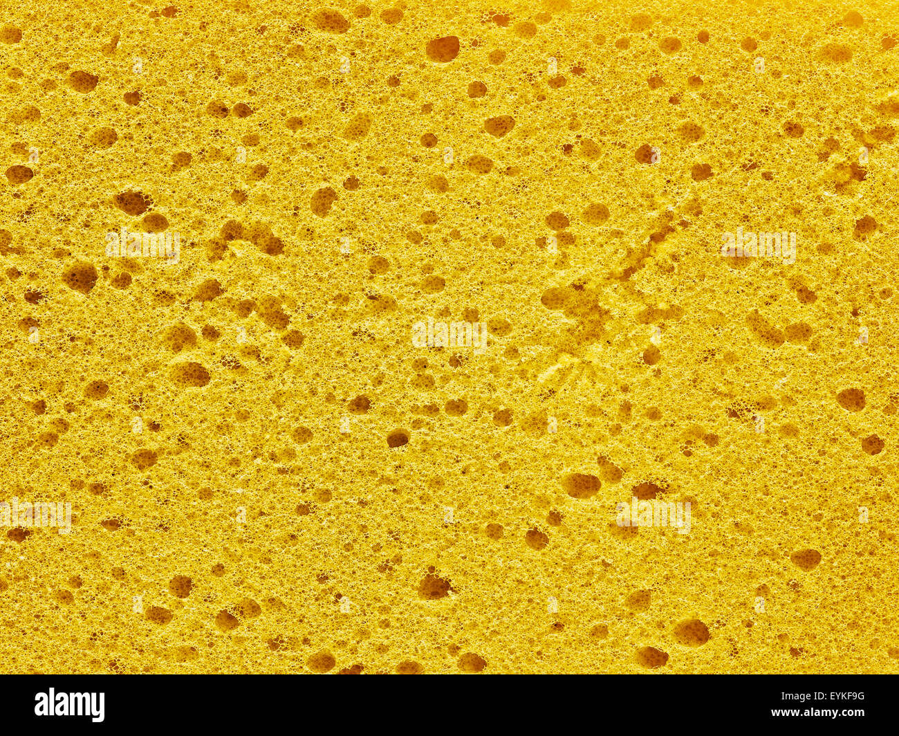 yellow, sponge, surface, structure, background Stock Photo - Alamy