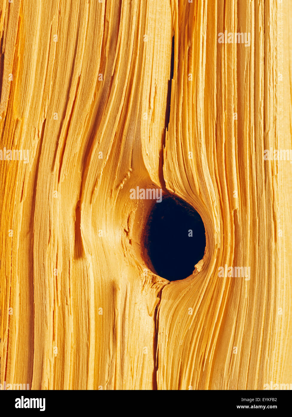 Wood, hole, fiber, wooden log Stock Photo - Alamy