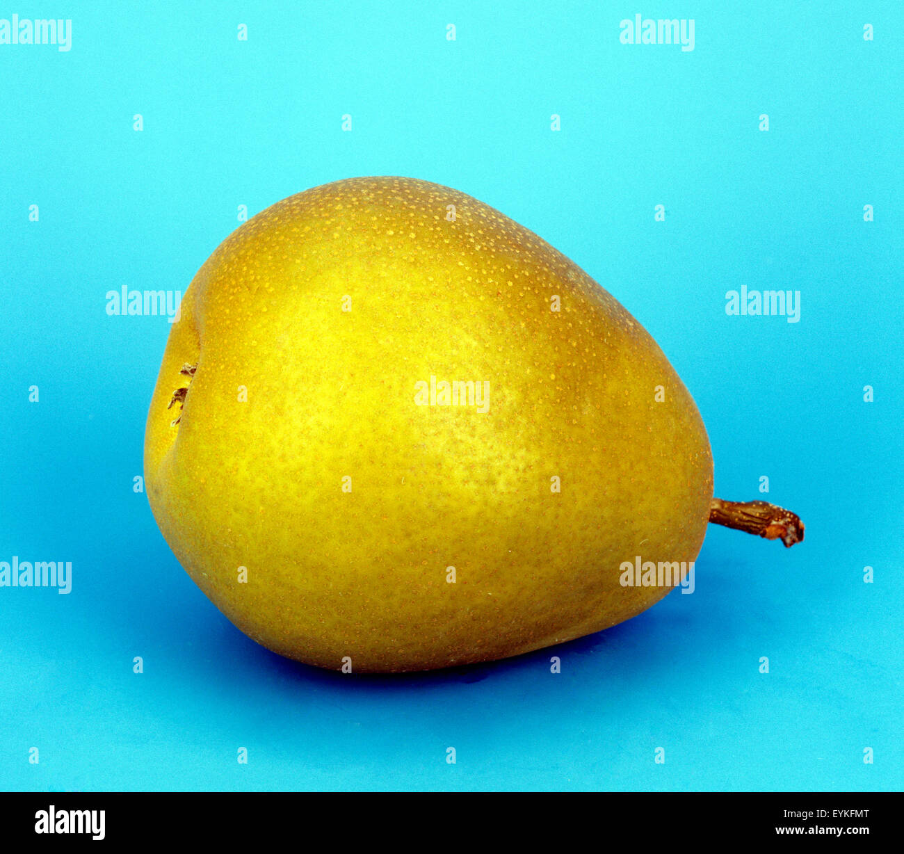 Birne pyrus communis birnenbaum birnen hi-res stock photography and ...