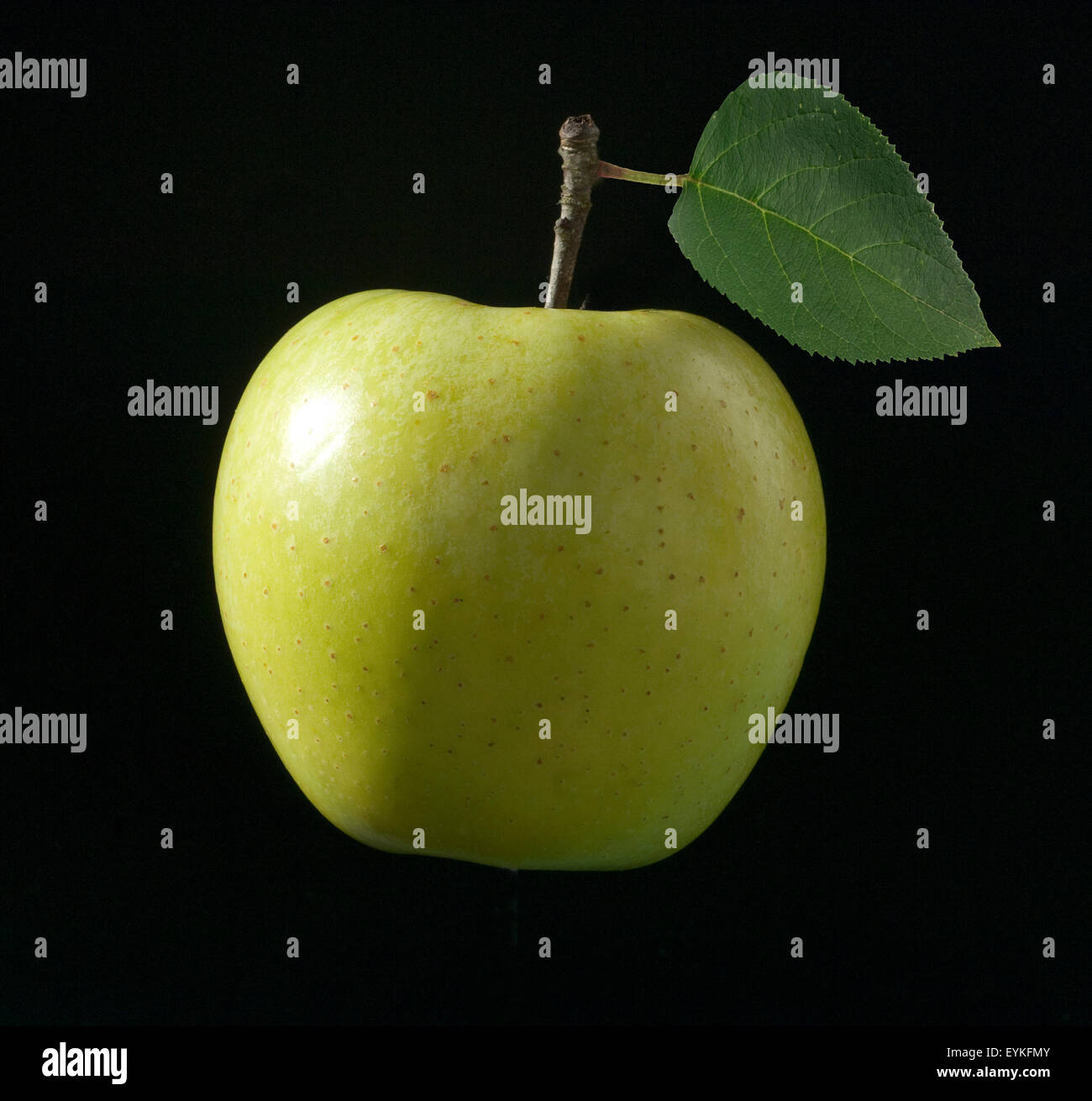 Golden Delicius, Apfel, Apfelsorte, Apfel, Kernobst, Obst Stock Photo ...