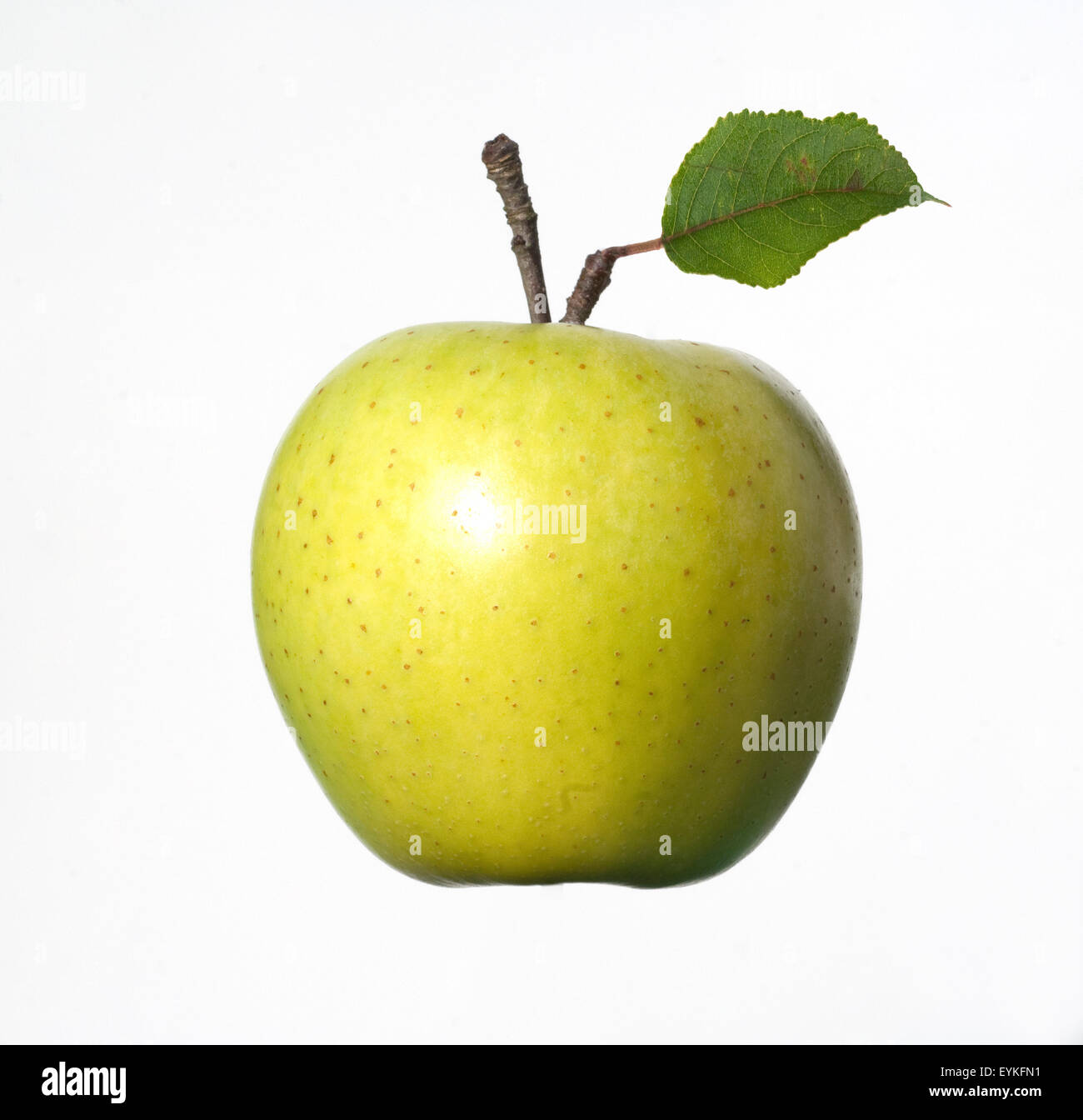 Golden Delicius, Apfel, Apfelsorte, Apfel, Kernobst, Obst Stock Photo ...