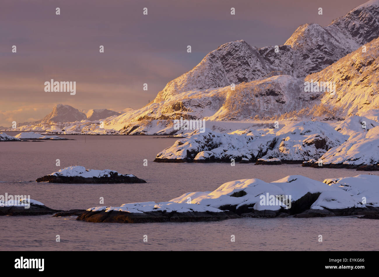 Moskenesoya, Lofoten, northern country, Norway Stock Photo - Alamy