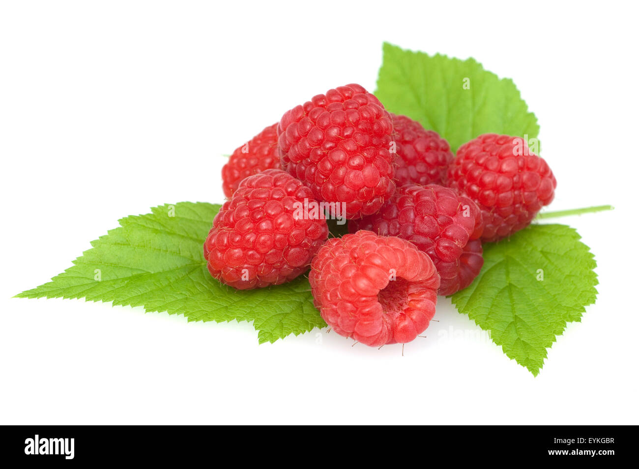 Himbeere; Rubus, idaeus; Waldbeere; Hohlbeere Stock Photo - Alamy