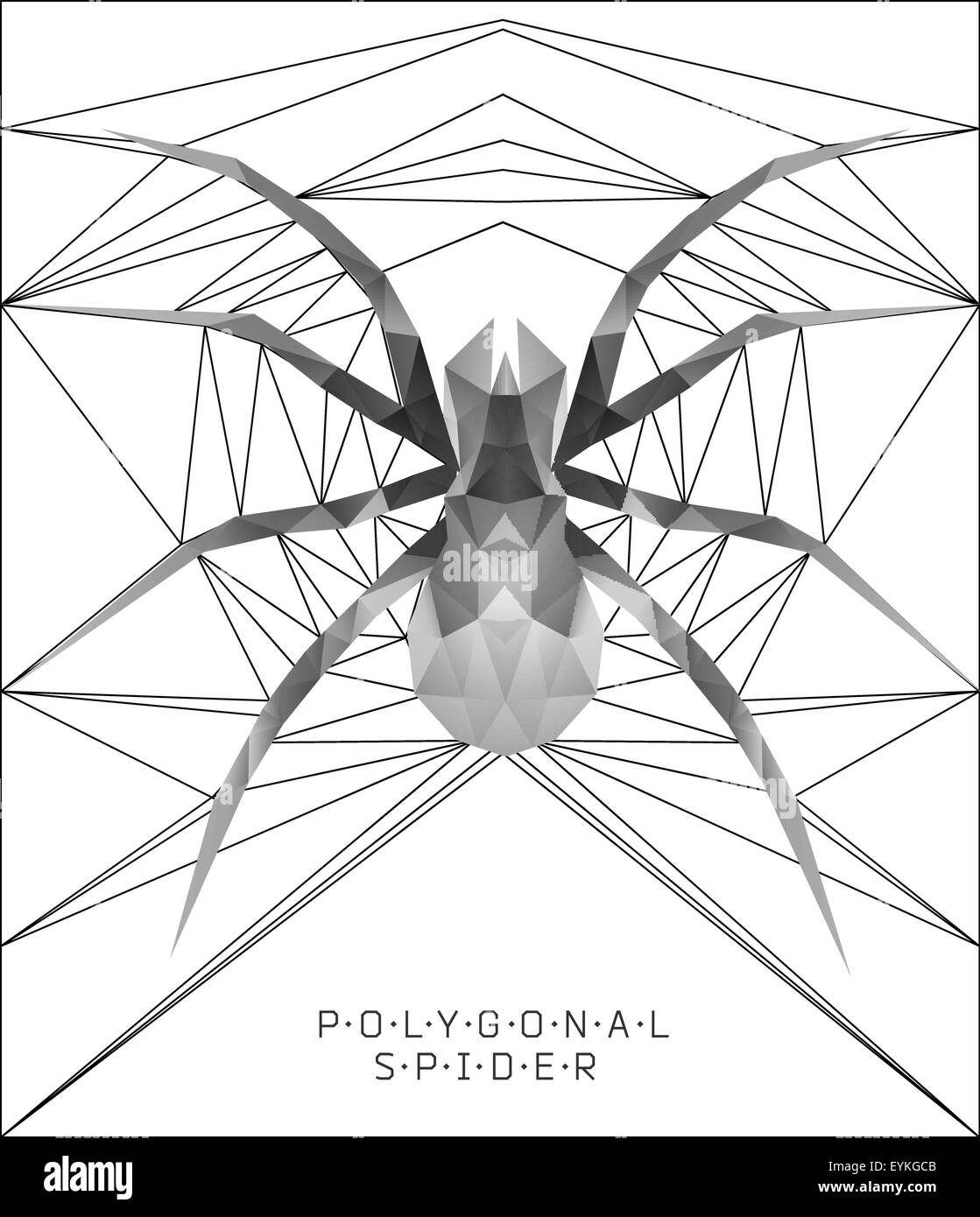 Polygonal spider. Geometric illustration Stock Vector Image & Art - Alamy