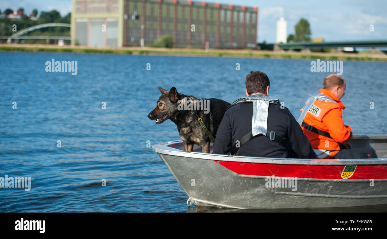 Body sniffer dog hi-res stock photography and images - Alamy