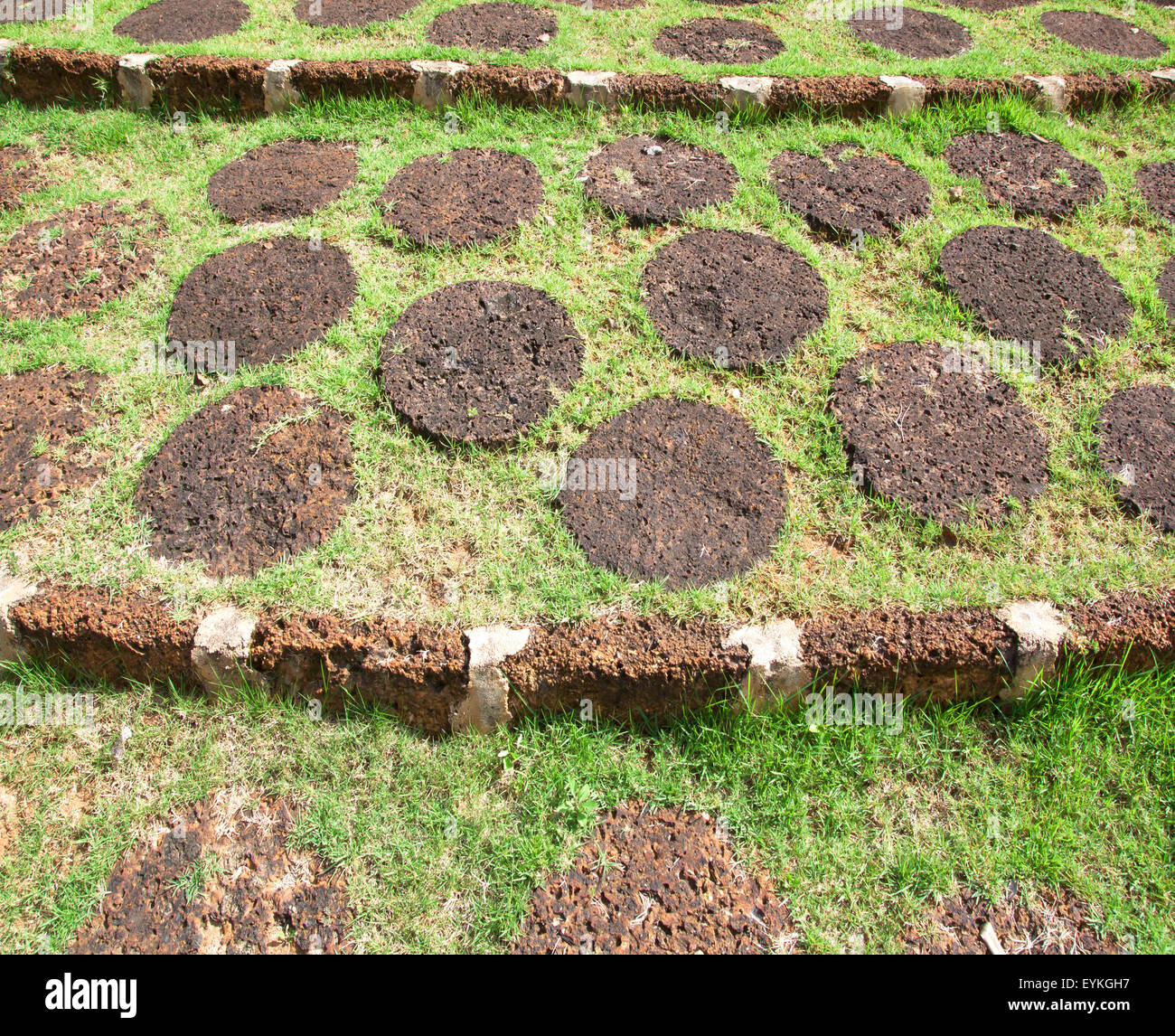 Grass lawn brick pattern hi-res stock photography and images - Alamy