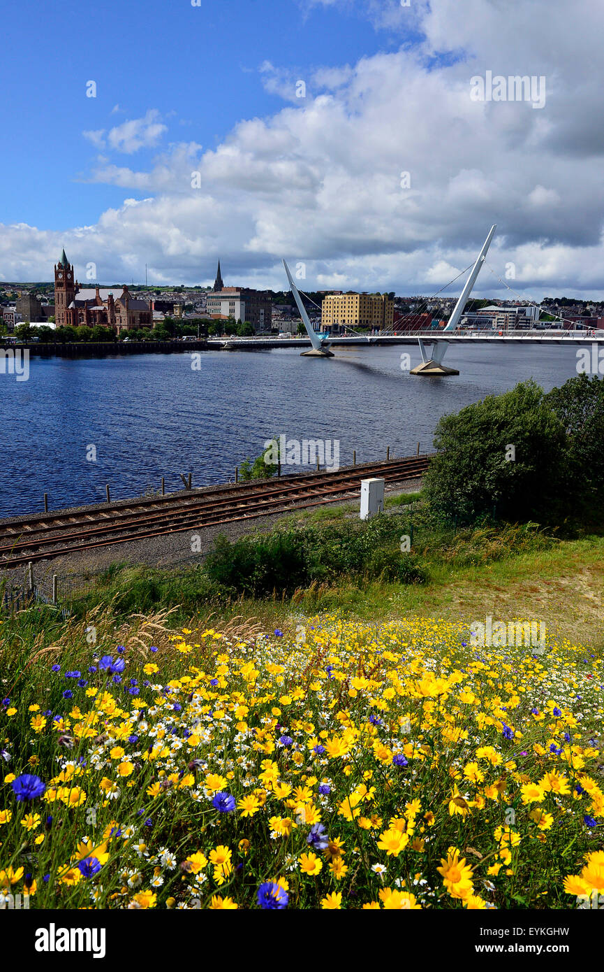 Peace Bridge and River Foyle, Derry, Londonderry, Northern Ireland ...