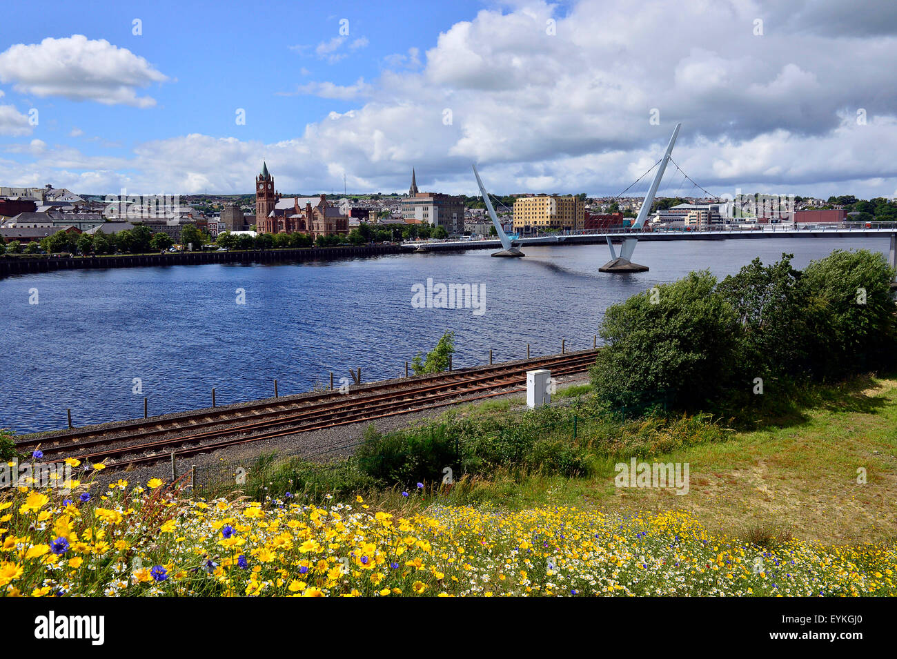 Peace Bridge and River Foyle, Derry, Londonderry, Northern Ireland ...