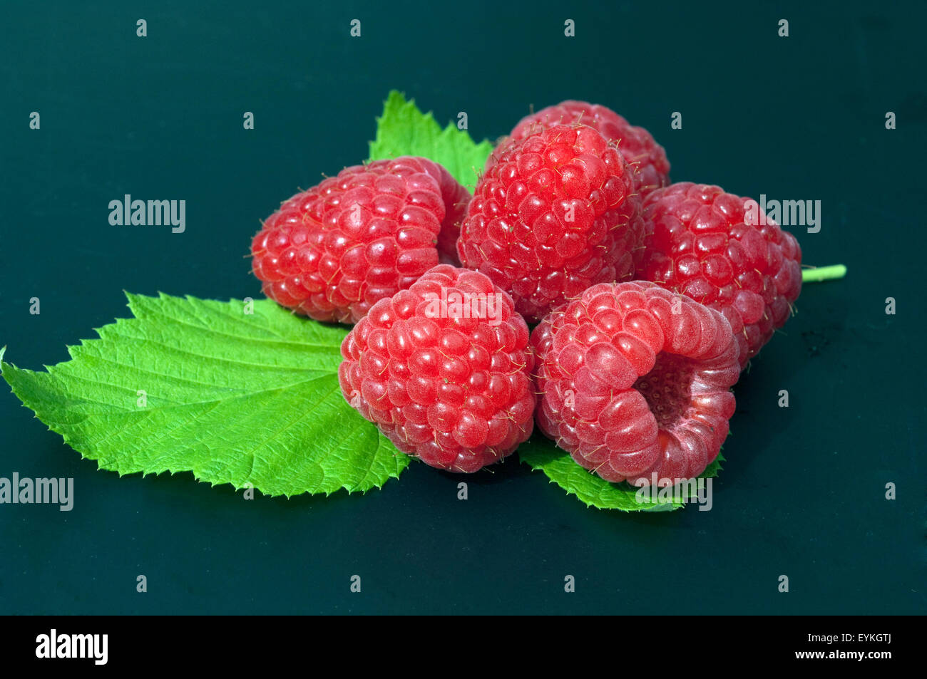 Himbeerblatt hi-res stock photography and images - Alamy