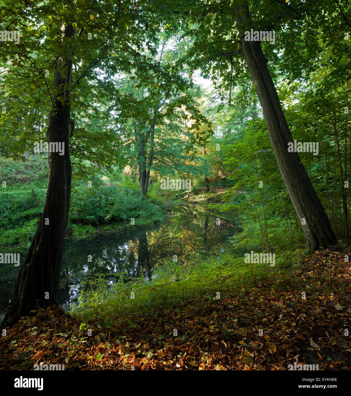 Ahrens hi-res stock photography and images - Alamy