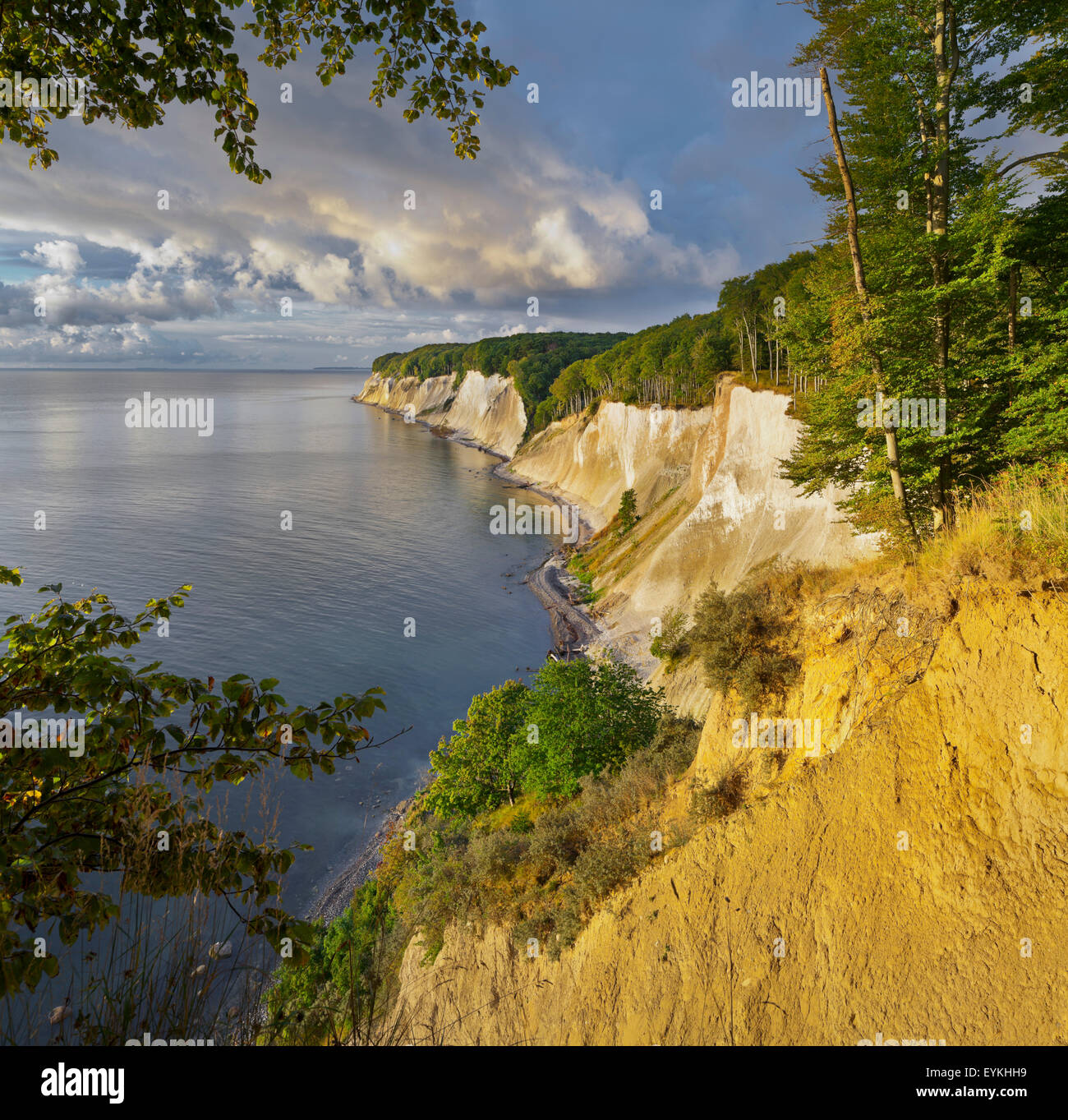 Chalk cliffs, Jasmund National Park, island of Rügen, Mecklenburg ...