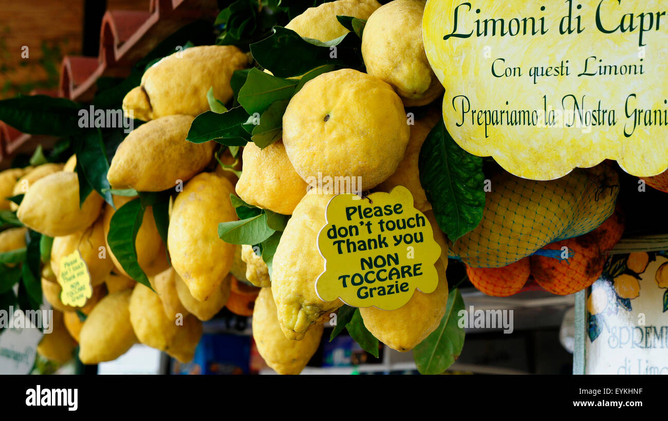 Limoni ci capri hi-res stock photography and images - Alamy