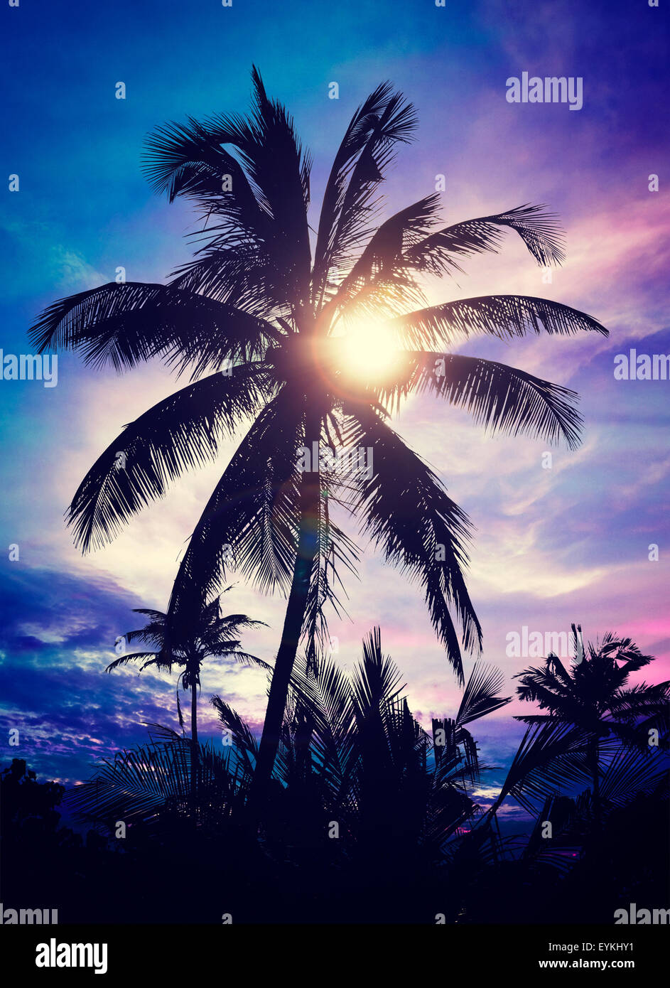 Hipster Palm Trees
