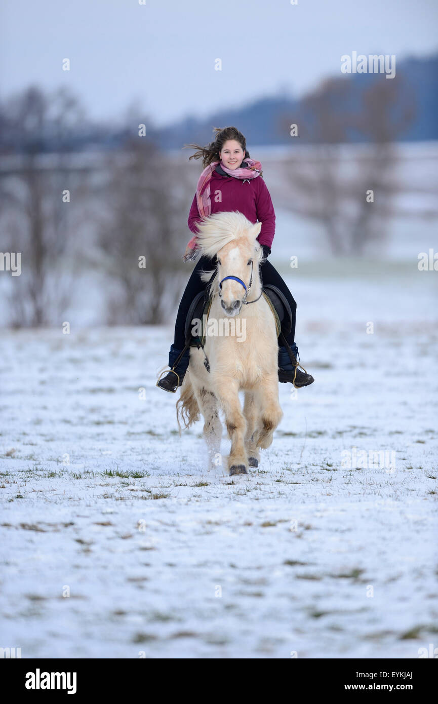 Teenagerin, Icelander, horse, whole body, gallop, head-on, look camera ...
